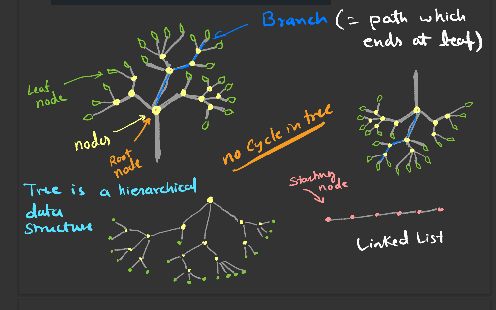 Tree Introduction - Java Programmer
